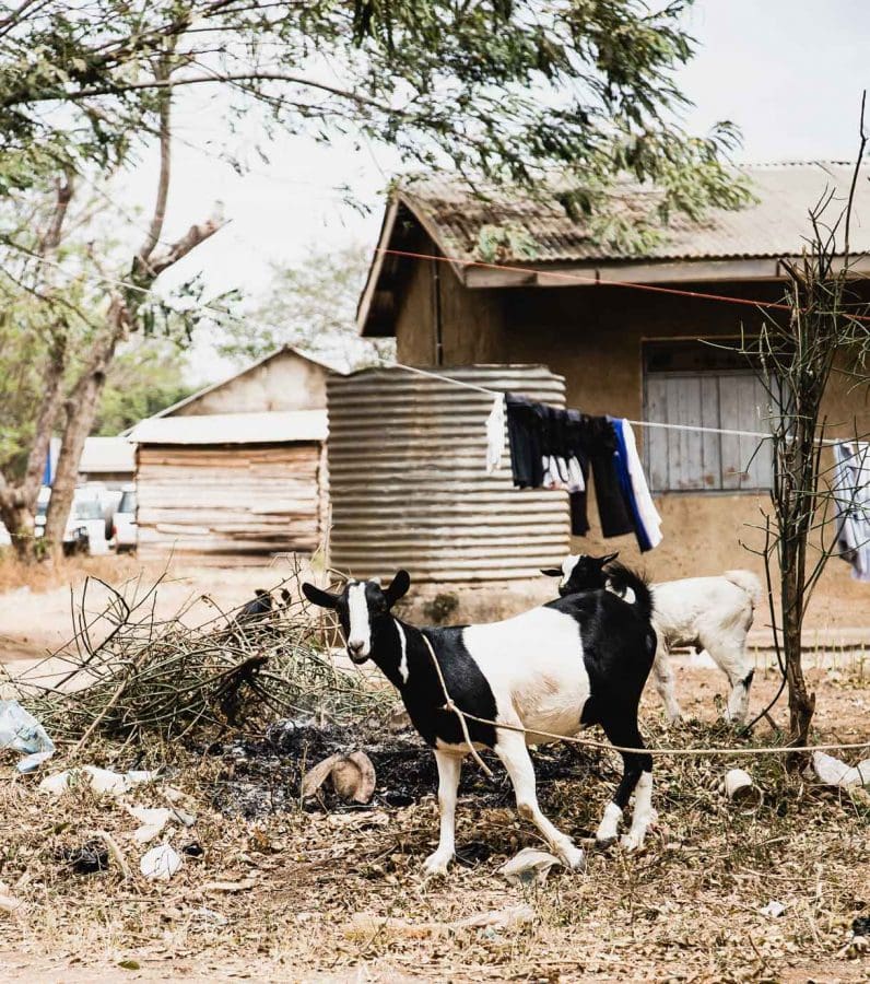 Finding Joy, Perspective, and Hardship: Nakivale Refugee Settlement, Uganda