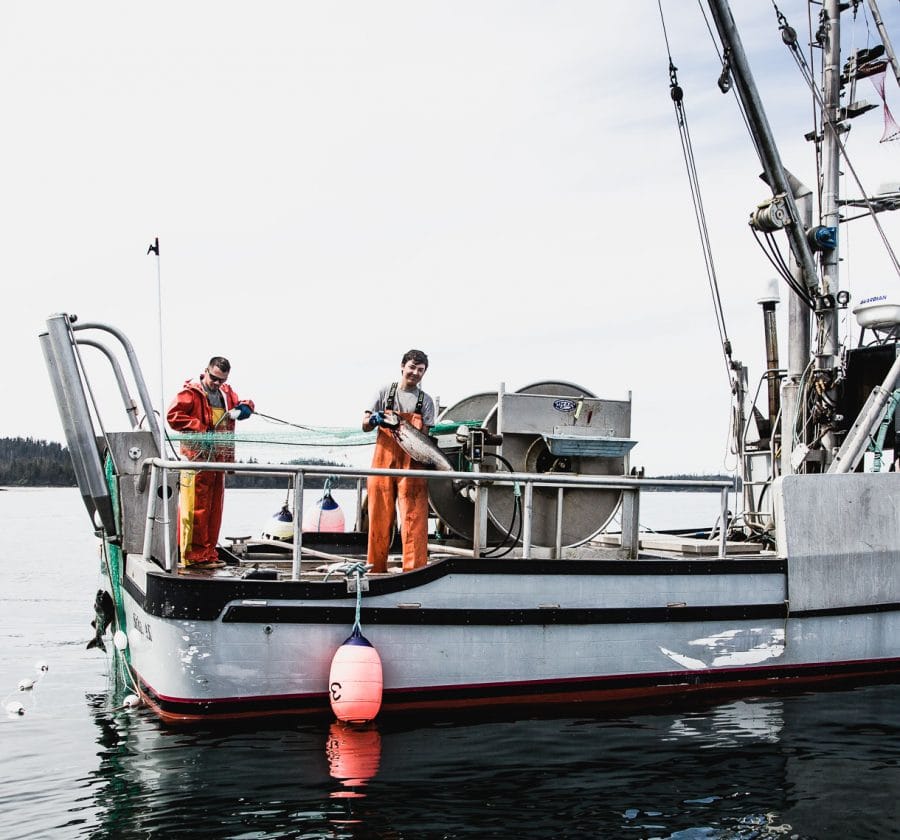 Wildly Different: Sitka Salmon, Small Boat Fisherman Sharing Their ...