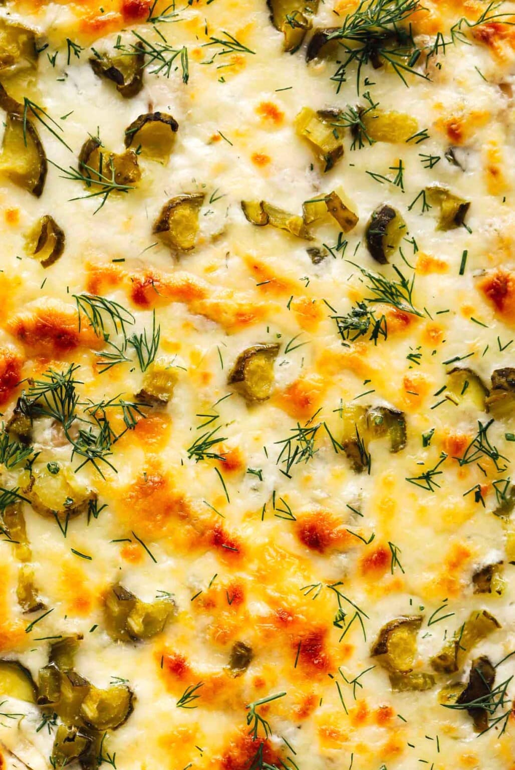 Best Baked Ranch Pickle Dip • Heartbeet Kitchen